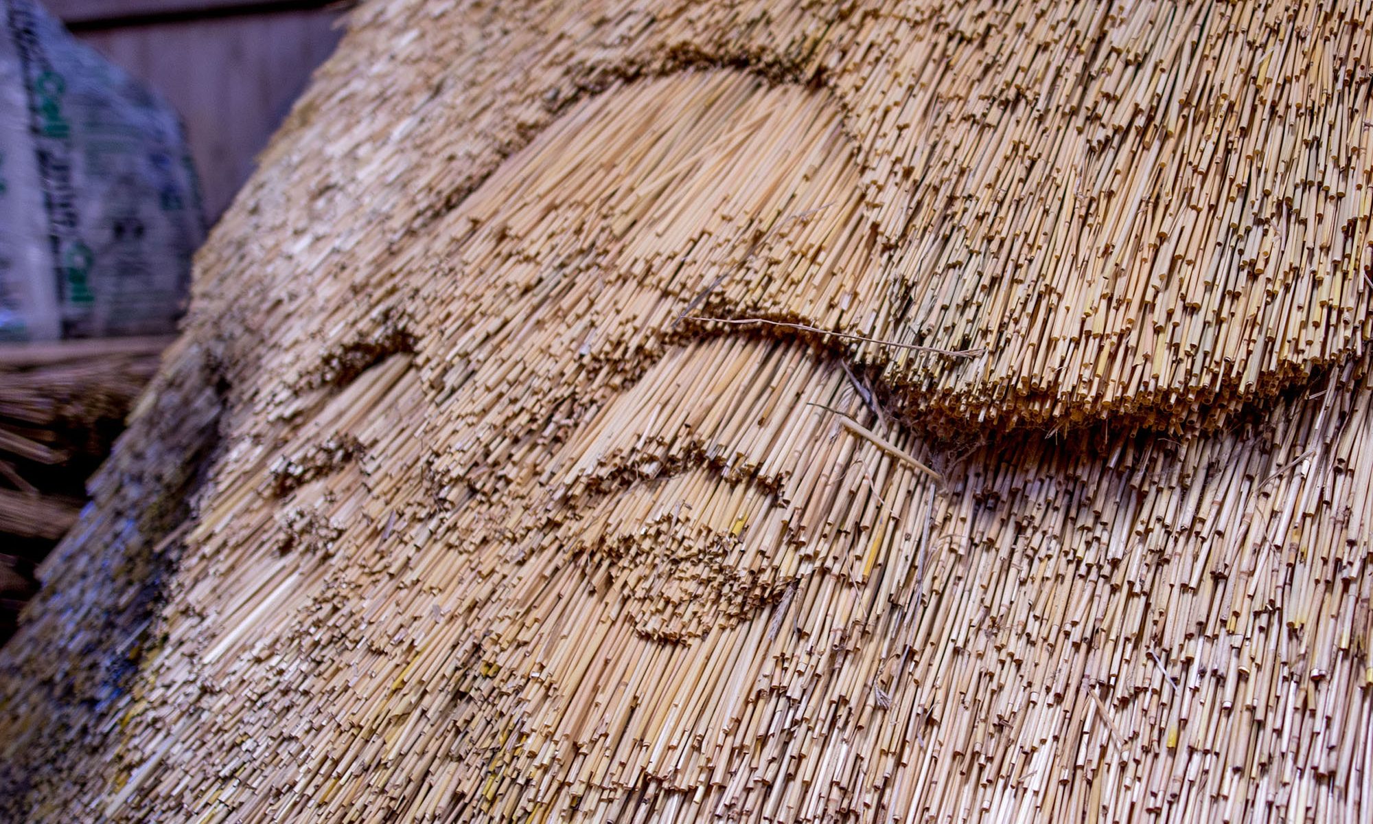 Le chaume – Delcros associés